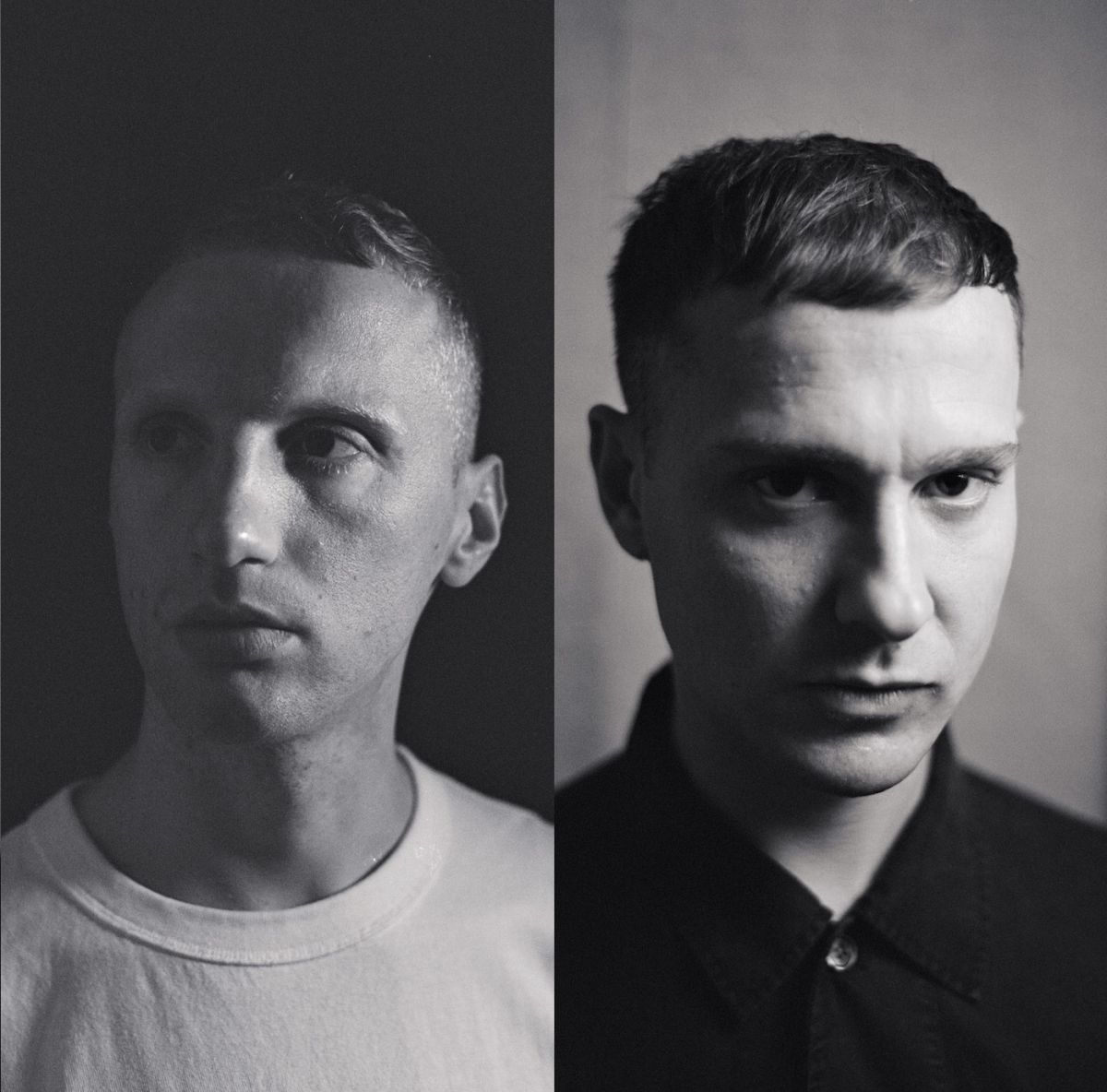 Real Lies | Fred Perry