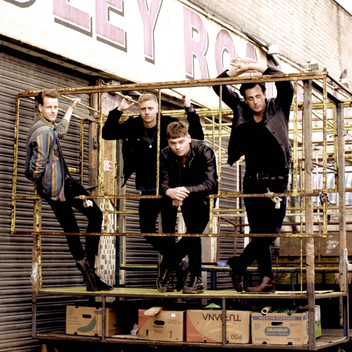 Shiners | Fred Perry