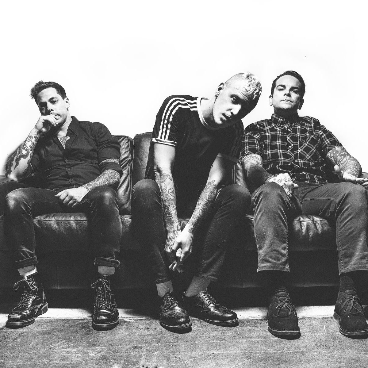 Sharp Shock | Fred Perry